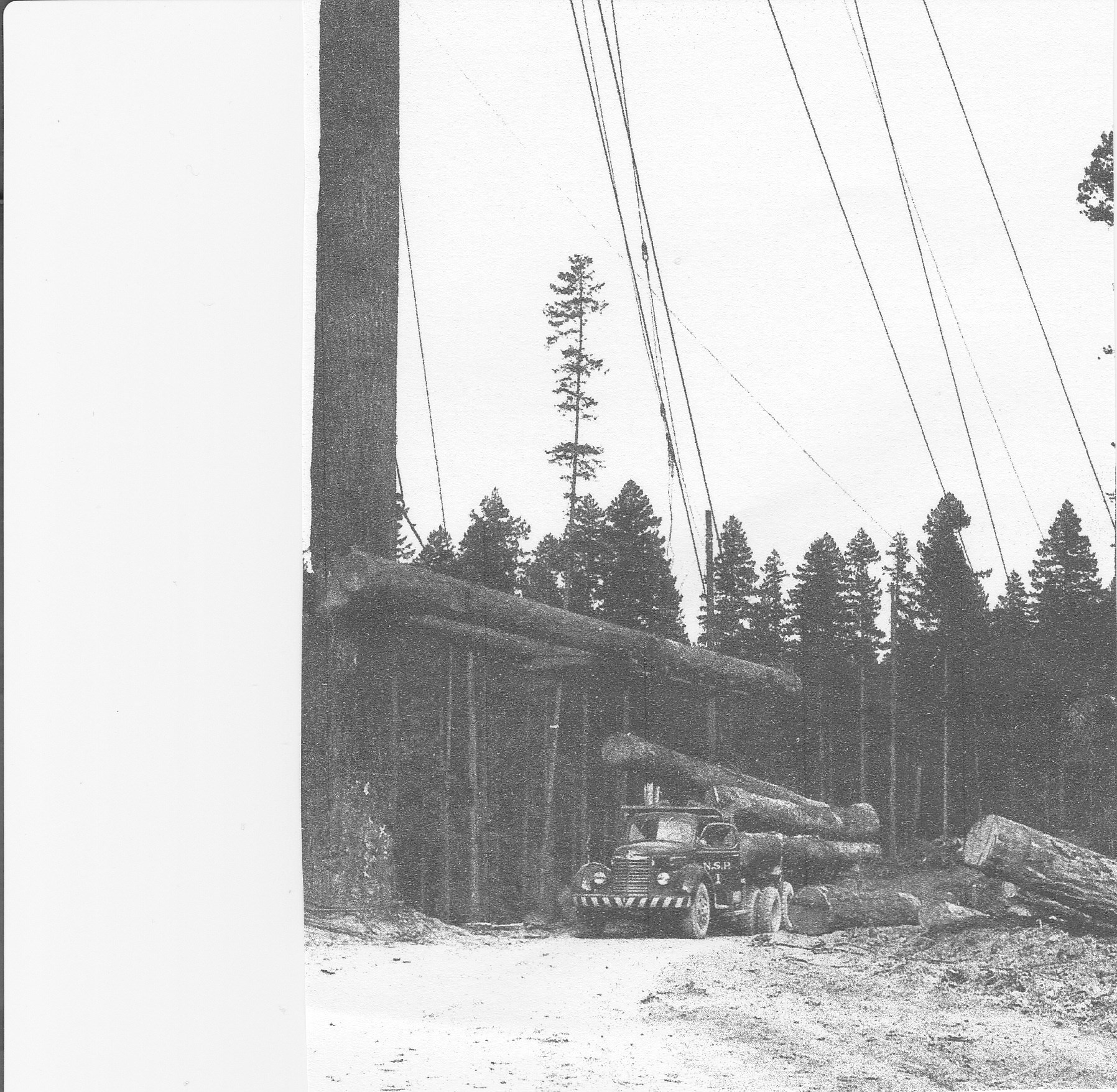 Old Logging Photos, Circa Early '60's - Free for All - The Patriot ...