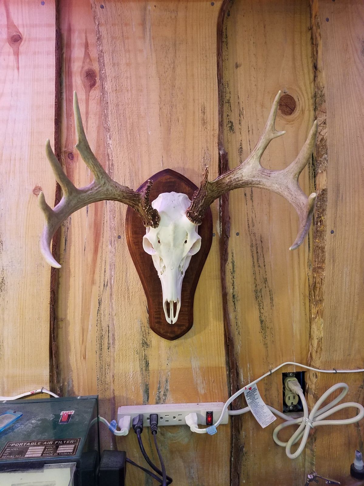 Couple of Euro mounts in process - General Woodworking - The Patriot ...