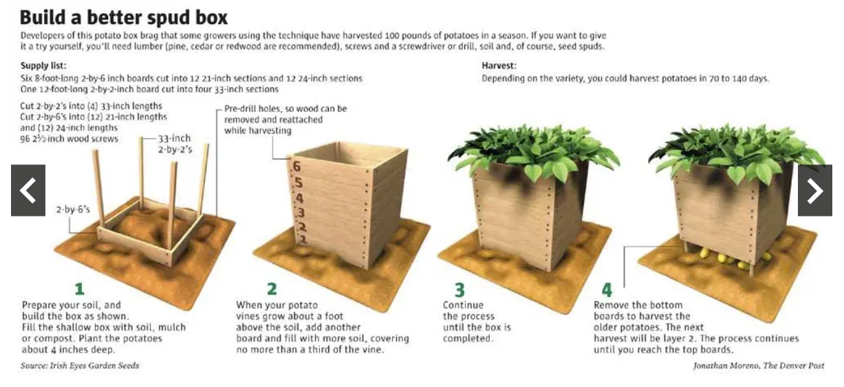 Potato box build - General Woodworking - The Patriot Woodworker