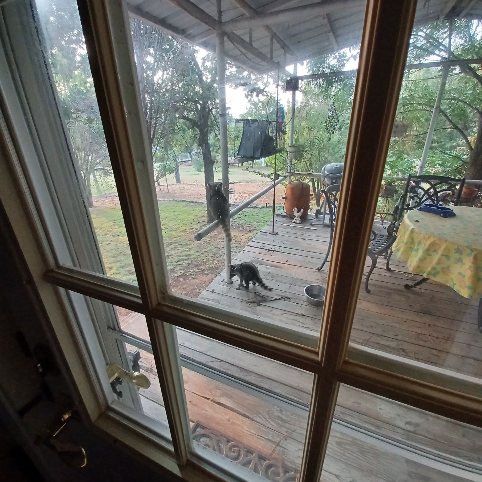 Getting rid of unwanted animals the right way - Home Improvement - The ...